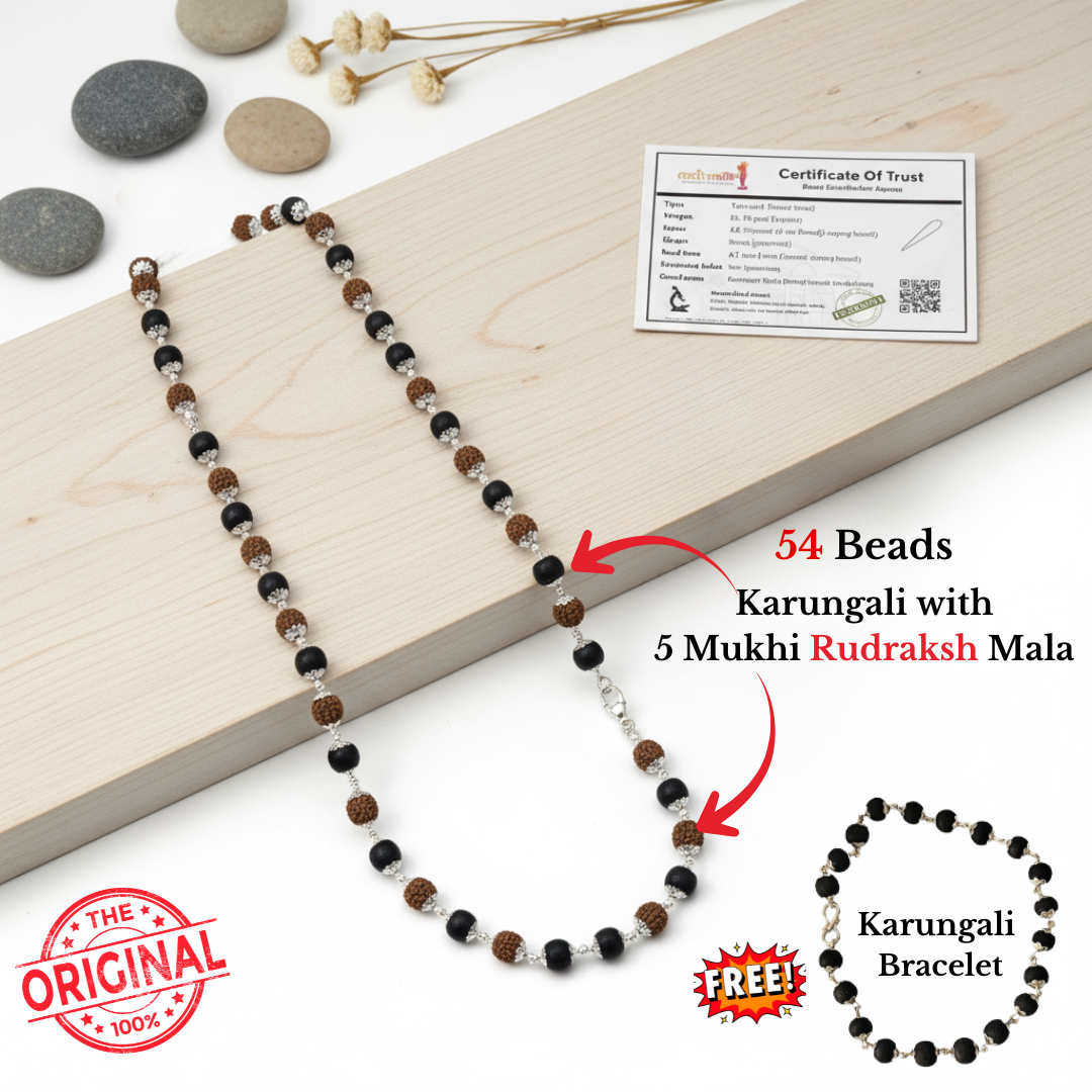 Rudraksh Karungali Combo Mala Silver Plated (Free Bracelet) – RadhaShakti.com